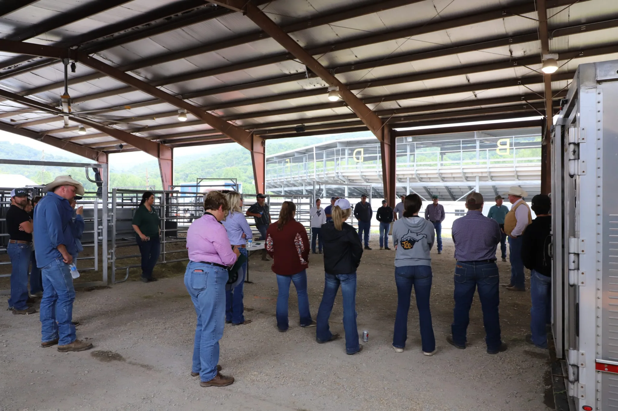 Eastern Agriculture Innovation brings together local cattle industry ...